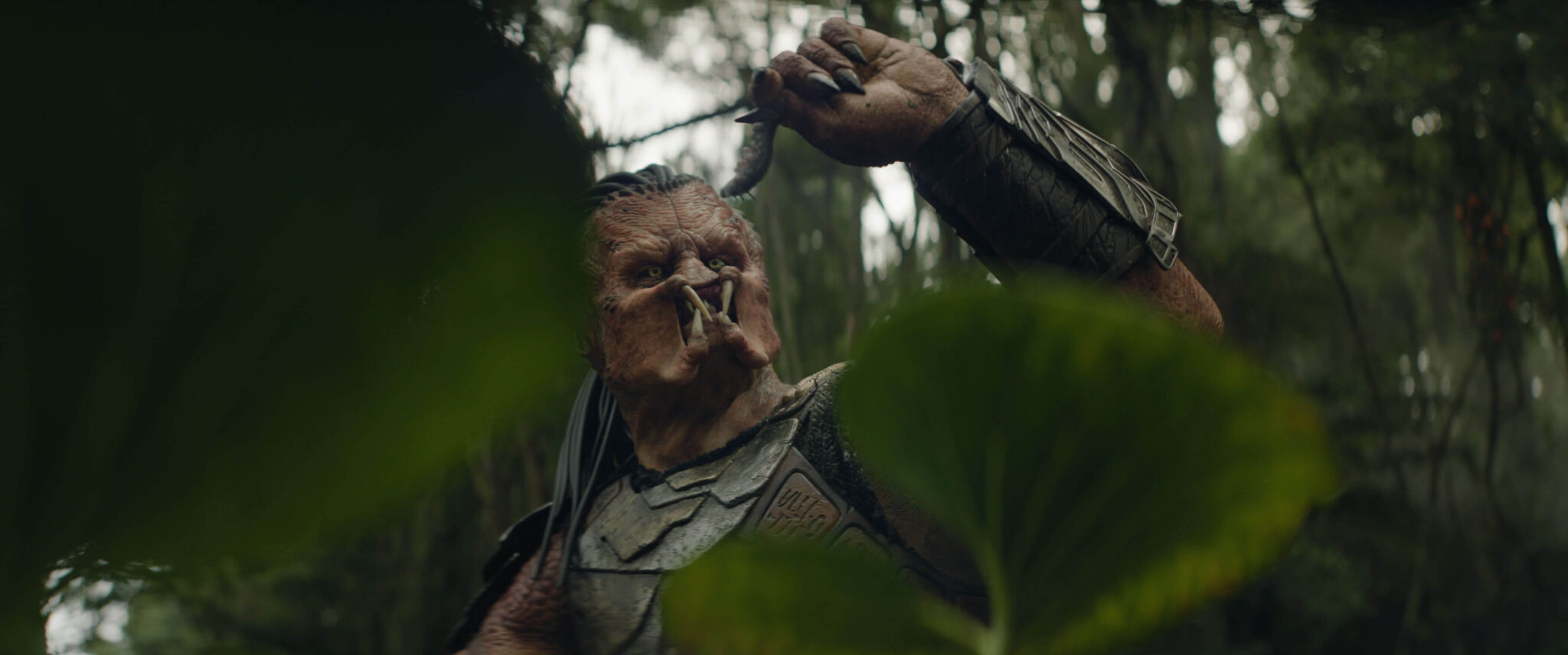 Predator: Badlands - Film (2025) - KINOFANS.COM